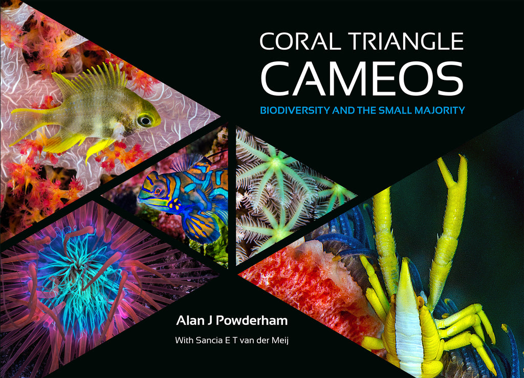 Coral Triangle Cameos | waterworldsports.co.uk